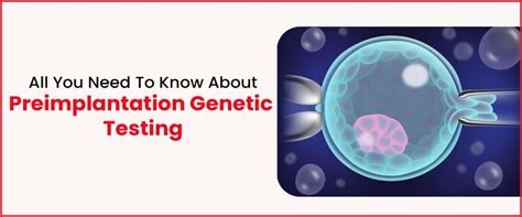 Preimplantation Genetic Testing All You Need To Know