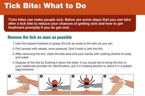 Tick Bite What To Do By Cdc R Coolguides