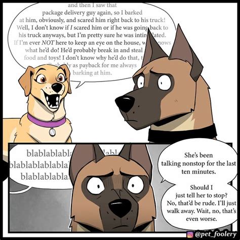 8 New Hilariously Adorable Comics About Brutus To Brighten Up Your Day