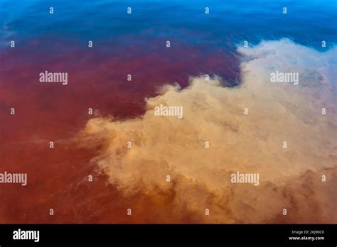 Caustic Toxic Emissions Into The Pond Bright Contrasting Spots On The