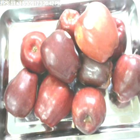 Food Detect Object Detection Dataset By Jeerakit Ferry