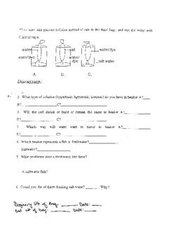 Osmosis Lab By Burton S Biology Labs TPT