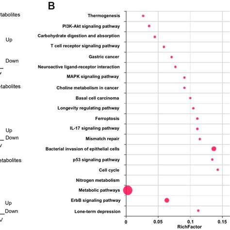 The Integral Analysis Of Quantitation Proteomics Metabonomics And Copd