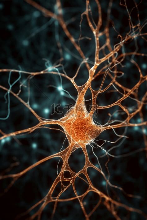 3d人类神经系统中活跃的神经细胞高清摄影大图 千库网