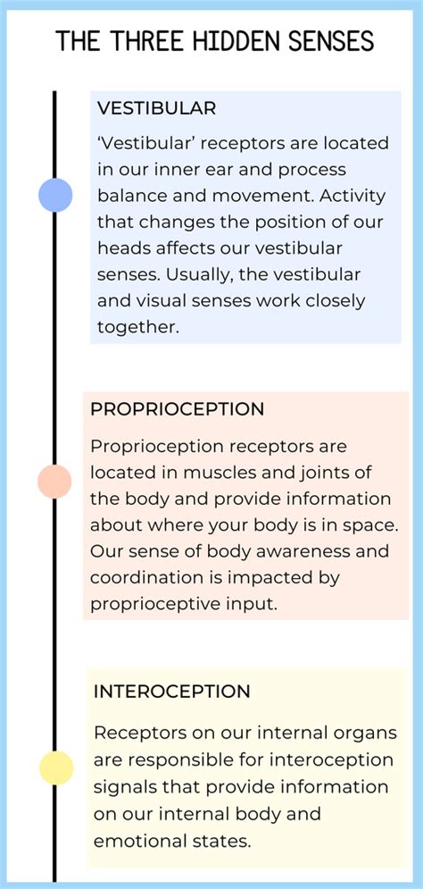 What Is Interoception And How Do We Support It — Inclusive Psychology