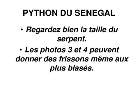 PPT PYTHON DU SENEGAL PowerPoint Presentation Free Download ID 3119485