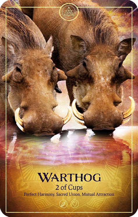 The Ark Tarot Heidi Sutherlin Artofit