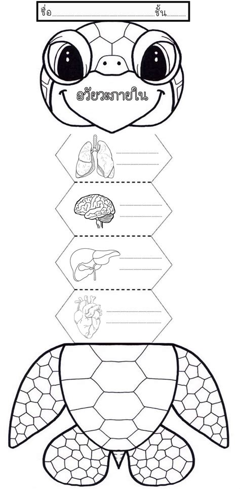 แจกฟรี ใบงานสุขศึกษา ป 2 Panpun “สื่อการสอนสุขศึกษา” Facebook