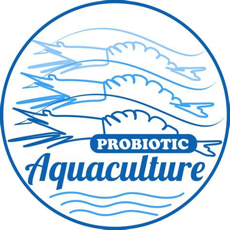 Panduan Lengkap Sistem Bioflok Untuk Budidaya Udang Vaname