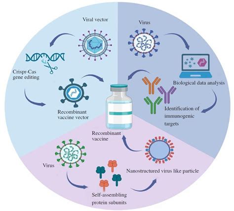 Recombinant Vaccine Creative Diagnostics