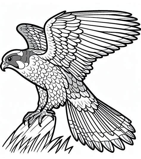 46 Halcones Para Colorear Descarga Gratis Y Imprime