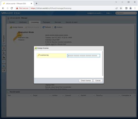 VMware ESXi 7 Initial Settings Assign License Key Server World