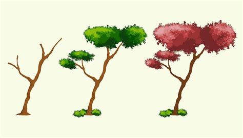 pruned tree vectors and illustrations for free download freepik