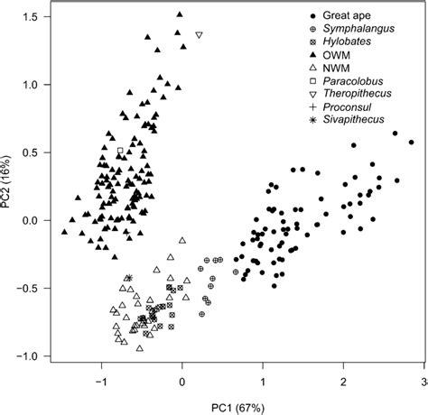 Bivariate Plot Of Principal Components And Sample Derives From Download Scientific Diagram