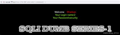 sqli labs 1~10关教程 sqllabs前十关 csdn博客