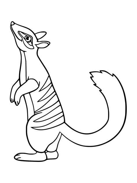 Numbat Coloring Pages Seacoloring