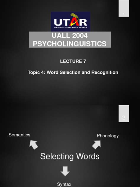 Lecture 7 Updated Pdf Psycholinguistics Mental Processes
