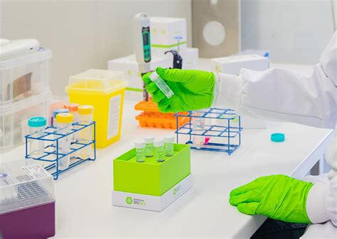 What Are Self Assembly Peptide Hydrogels Manchester Biogel Peptigel