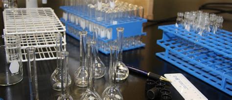 Low Bse Testing Threatens Export Status The Western Producer