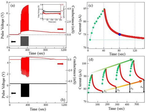 A Long Term Potentiation Ltp And Long Term Depression Ltd Are Download Scientific Diagram