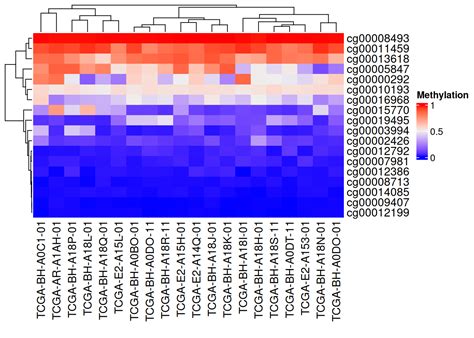 Complexheatmap A Biomedical Visualization Atlas