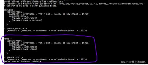 oracle19c scott用户创建脚本（注意事项） oracle19c创建scott csdn博客