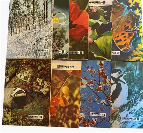 Журнал Юный натуралист Комплект из 9 журналов 1 3 5 7 9 12 за 1975 год купить с доставкой