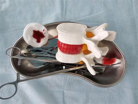 Removal Of Herniated Disc And Surgical Instrument Stock Image Image