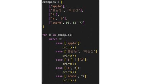 Python 기초 파이썬의 조건문 match case문의 개념 인천일보아카데미