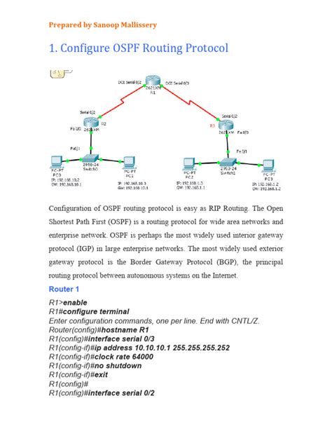 ospf pdf