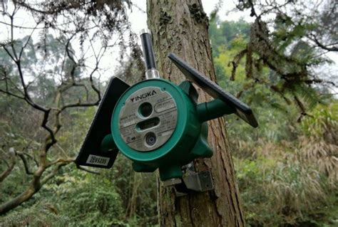 森林防火地表火探测器 英卡电子地表火探测器