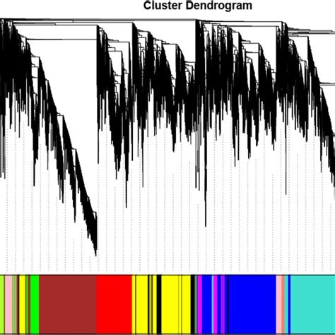 Weighted Gene Correlation Network Analysis Wgcna Hierarchical
