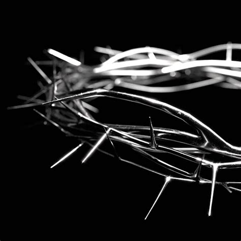 Infraganti Youtube Music