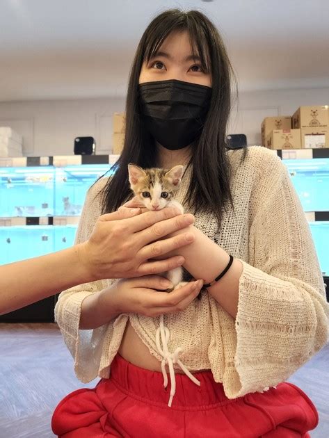 부산 2022 0219 코리안숏헤어 삼색 책임분양 유기견입양 유기묘입양 강아지입양 소형견입양 중형견입양 대형견입양 말티즈입양 말티푸입양 비숑프리제입양 미니비숑프리제입양