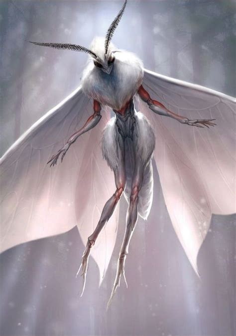 Insect Woman