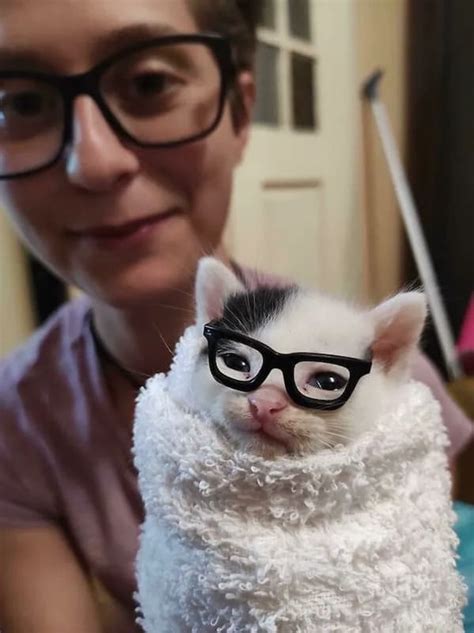 30 Funny Glasses Pictures That Prove Life Looks Better Through A