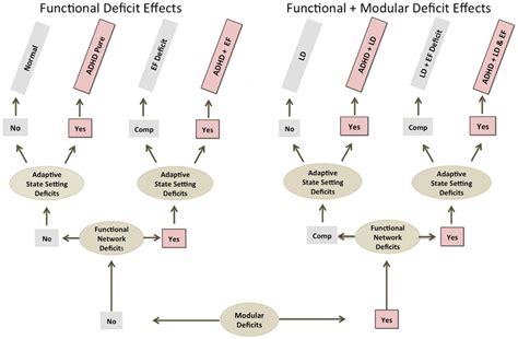 Adhd Comorbidity And Primary Deficit Source Considerations This Shows