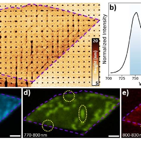 Heterogeneous Far Field Optical Properties A Afm Topography Of The