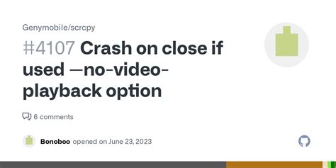Crash On Close If Used No Video Playback Option · Issue 4107