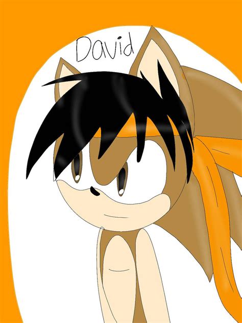 David The Hedgehog By Starmthedarkcat On Deviantart