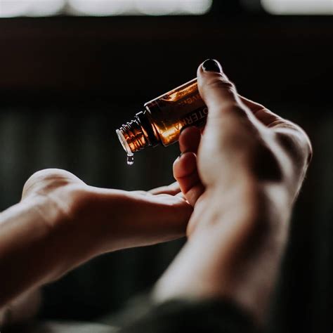 Árbol De Té Propiedades Usos Y Cómo Utilizar El Aceite Esencial