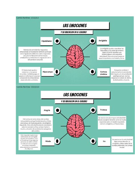Las Emociones Y Su Ubicacion En El Cerebro Pdf