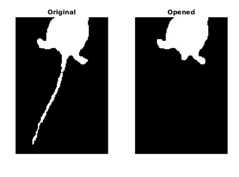 Matlab Fill In A Region Of A Binary Image Which Is Not Completely