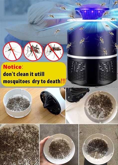 Best Bug Zapper For Fruit Flies At Sherlyn Weyer Blog