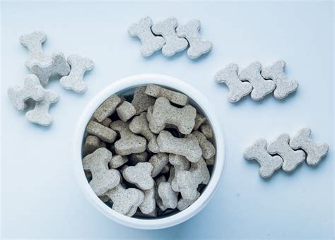 Бесплатные стоковые фото на тему animal food, белая чаша, в форме кости ...