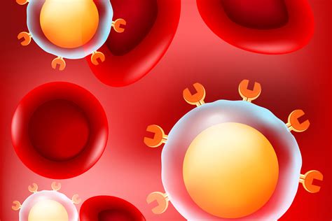 Laboratories Inflammation Immunity Lerner Research Institute