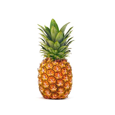 Pineapple Case 7 Ct Lil Generals