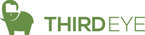 thirdeye data offering data and ai services and solutions