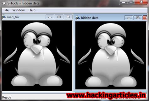How To Hide Text File Behind Image Steganography