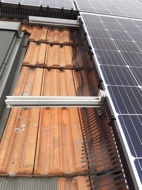 Duiven En Kraaien Onder Zonnepanelen